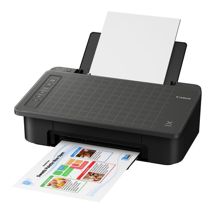 Canon PIXMA TS307 Inkjet Single Function Printer – SourceIT