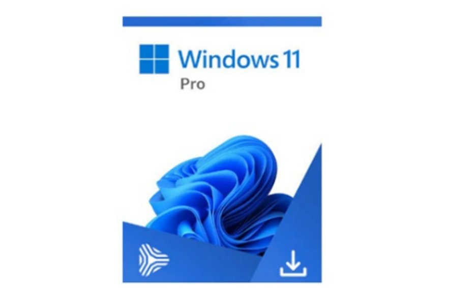 Microsoft Windows 11 Pro Edition 64-Bit 1 Device DVD English – SourceIT
